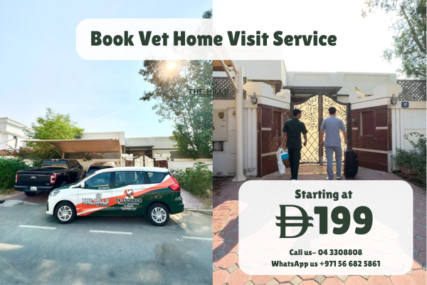 Vet Home Visit - The Hills Veterinary Clinic